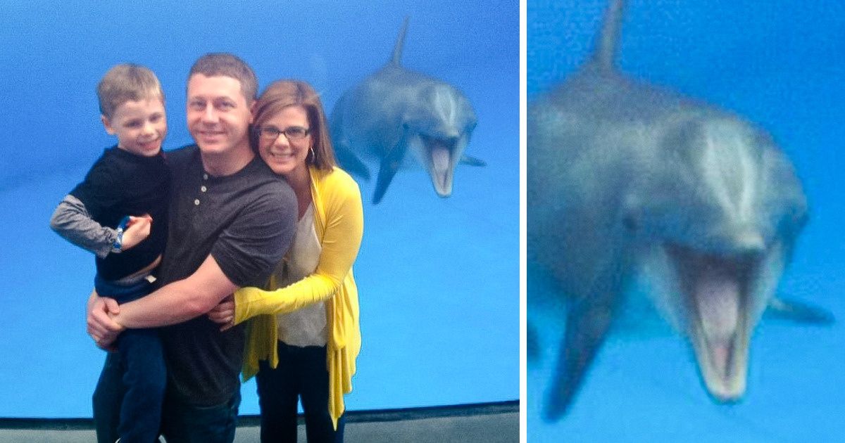 17 Pictures Of Animals Photobombing Their Owners