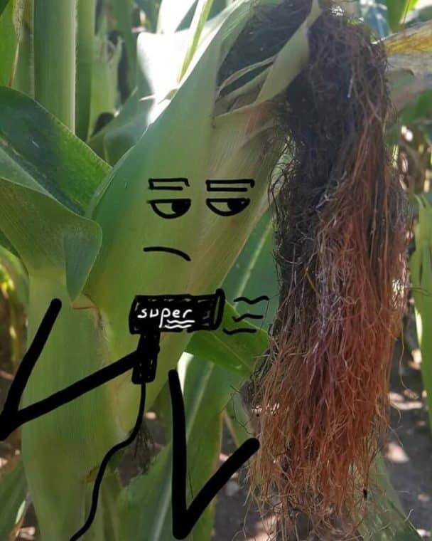 Viral Strange - Doodles On Pictures Of Everyday Objects