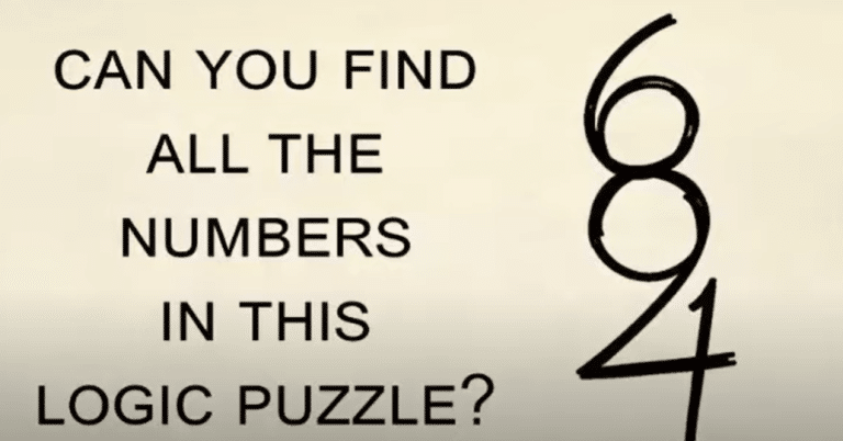 How Many Numbers Can You Spot in This Visual Puzzle?
