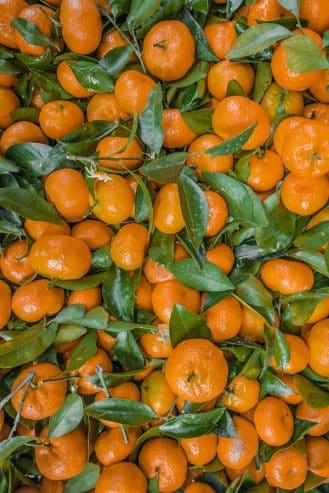 10 Orange Varieties Every Citrus Enthusiast Should Try