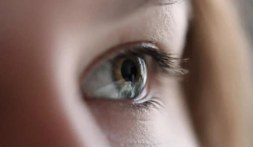 Viral Strange - Trypophobia: 15 Pics That Will Make You Cry in Fear